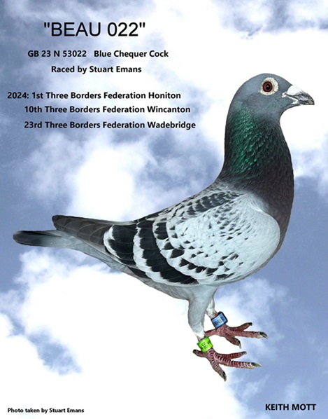 “ON THE ROAD” WITH KEITH MOTT - 26-07-24 | Elimar Pigeon Services Limited