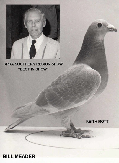 “ON THE ROAD” WITH KEITH MOTT - 30-11-23 | Elimar Pigeon Services Limited