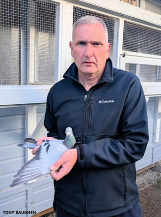 “ON THE ROAD” WITH KEITH MOTT - 27-06-25 | Elimar Pigeon Services Limited