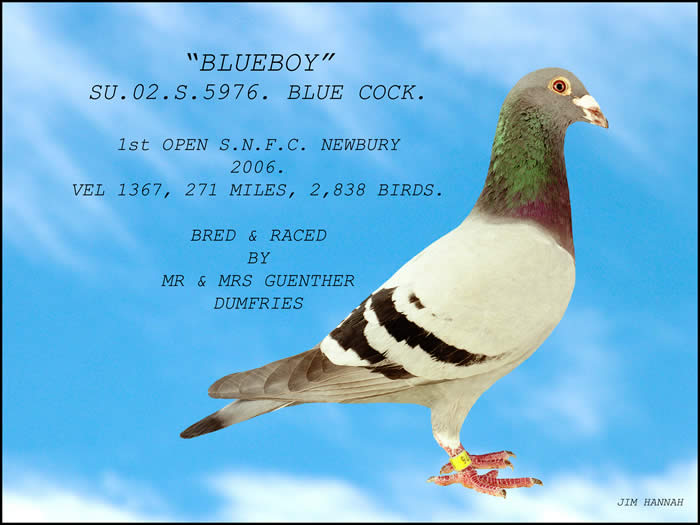 Scottish National Flying Club Winners Of2006 | Elimar Pigeon Services ...