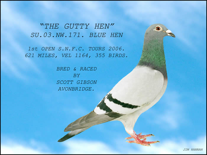 Scottish National Flying Club Winners Of2006 | Elimar Pigeon Services ...