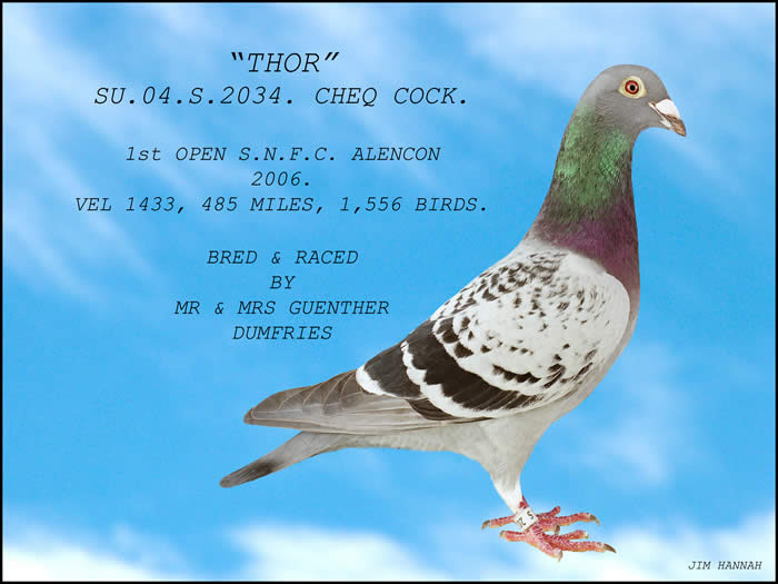 Scottish National Flying Club Winners Of2006 | Elimar Pigeon Services ...