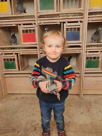 Gordon Bros Report 04-04-20 | Elimar Pigeon Services Limited