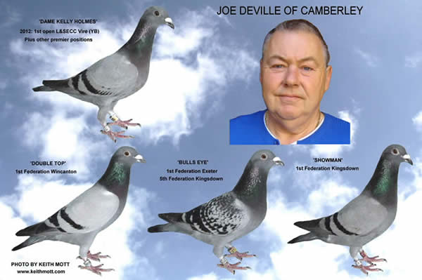 Joe & Helen Deville of Camberley | Elimar Pigeon Services Limited