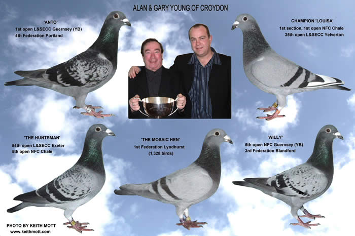 Alan & Gary Young of Croydon | Elimar Pigeon Services Limited