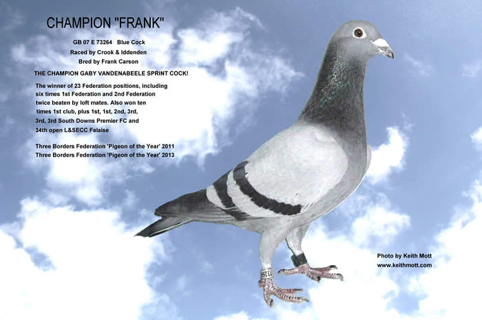 Stories of The Champions Part 2 | Elimar Pigeon Services Limited