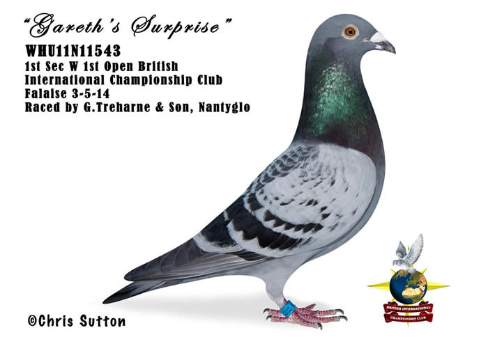 Gareth & Stuart Treharne of Nantyglo | Elimar Pigeon Services Limited