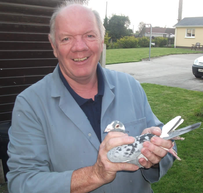 Clonmel - May 2013 - Elimar Pigeon Services Limited