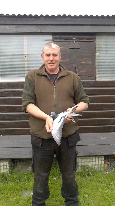 Clonmel - May 2013 - Elimar Pigeon Services Limited