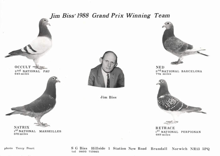 Jim Biss The Maestro of The Marathon | Elimar Pigeon Services Limited