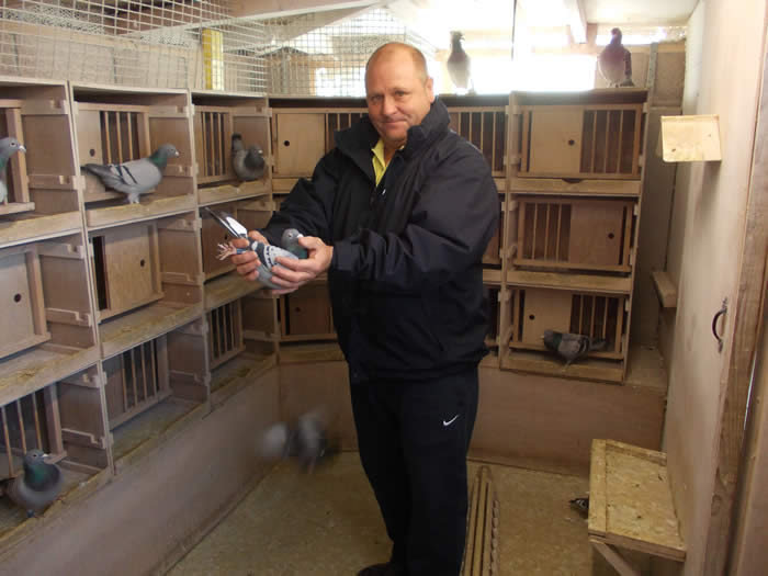 Mr & Mrs Bromley of Trevethin, Pontypool | Elimar Pigeon Services Limited