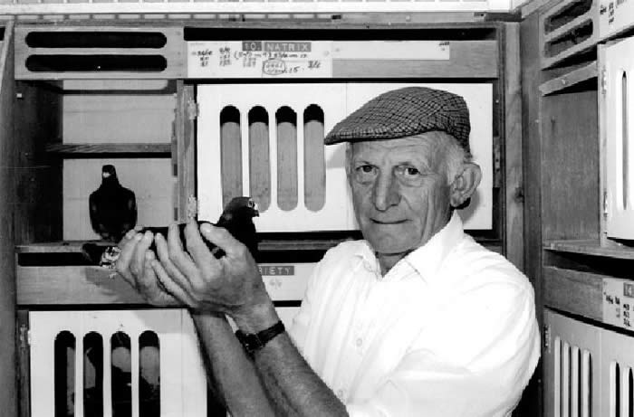 Jim Biss The Maestro of The Marathon | Elimar Pigeon Services Limited