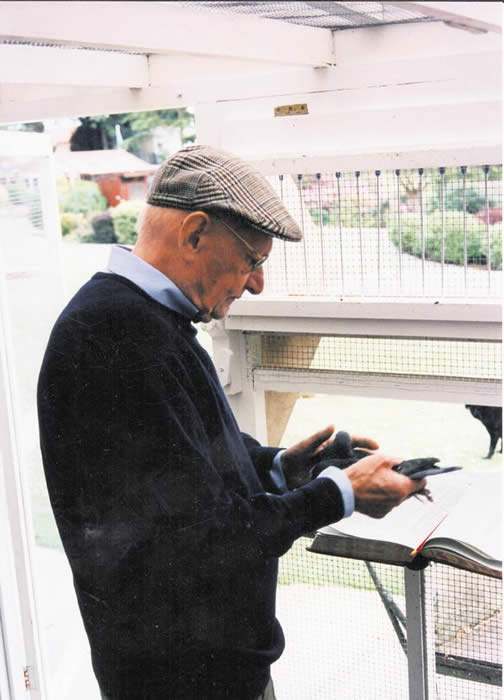 Jim Biss The Maestro of The Marathon | Elimar Pigeon Services Limited