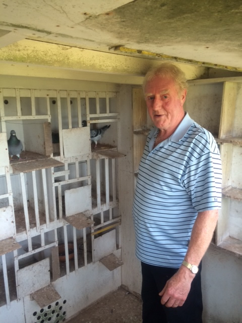 Liam Mccall of Wicklow 2014 IHU NFC St Malo Winner | Elimar Pigeon ...