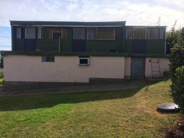 Liam Mccall of Wicklow 2014 IHU NFC St Malo Winner | Elimar Pigeon ...