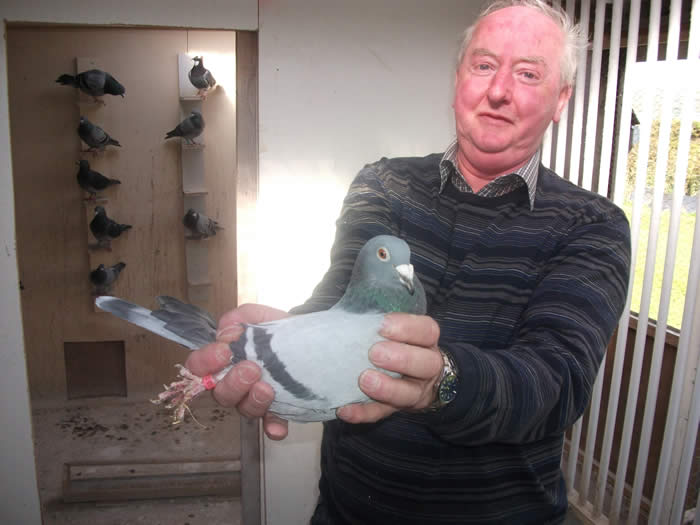 Roscarberry & Roscrea - May 2012 - Elimar Pigeon Services Limited