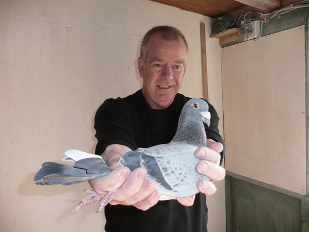 gary spavin pigeons