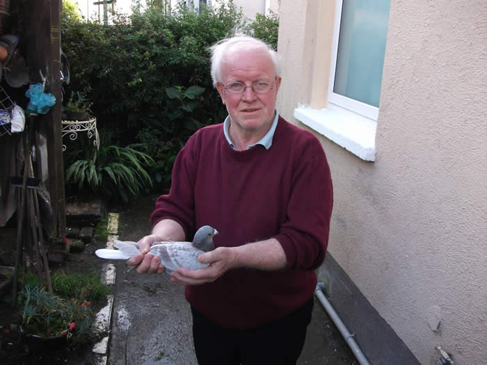 Roscarberry & Roscrea - May 2012 - Elimar Pigeon Services Limited