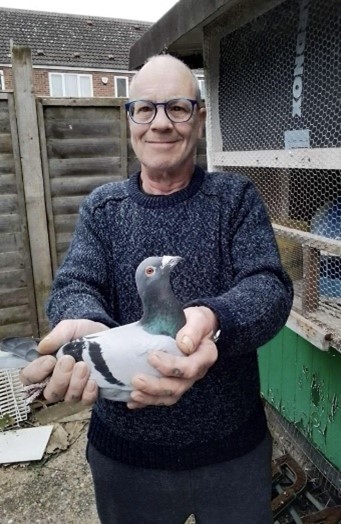 Essex Central Federation - Darlington 20th May 2023 | Elimar Pigeon ...