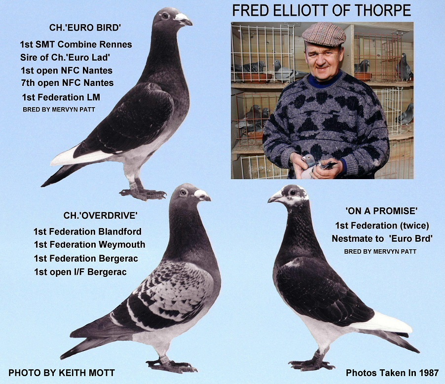 “ON THE ROAD” WITH KEITH MOTT - 15-04-22 - Winfort Lofts