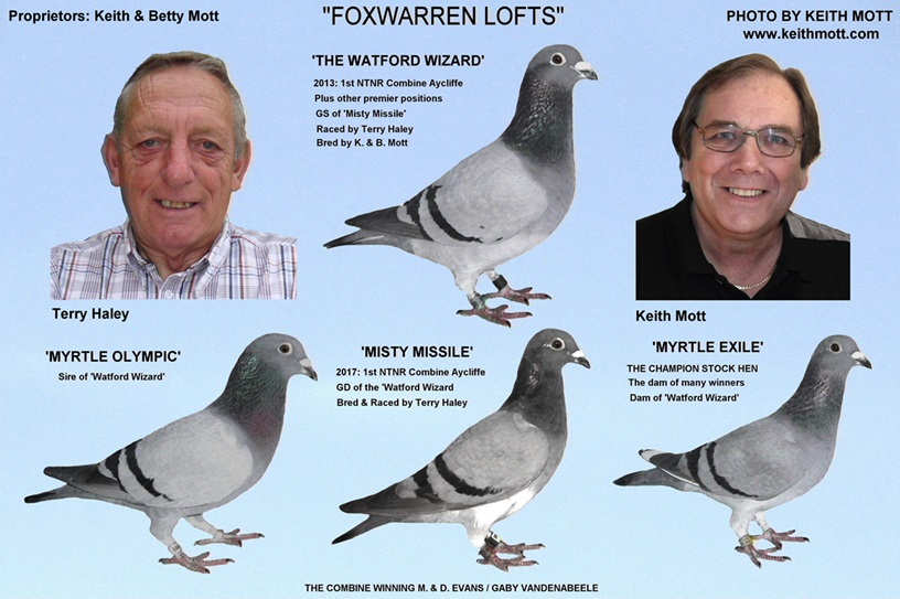 “ON THE ROAD” WITH KEITH MOTT - 27-06-24 | Elimar Pigeon Services Limited