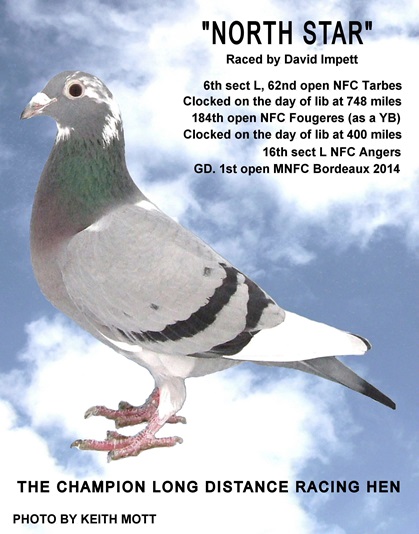 ‘ON THE ROAD’ WITH KEITH MOTT - 25-01-24 | Elimar Pigeon Services Limited