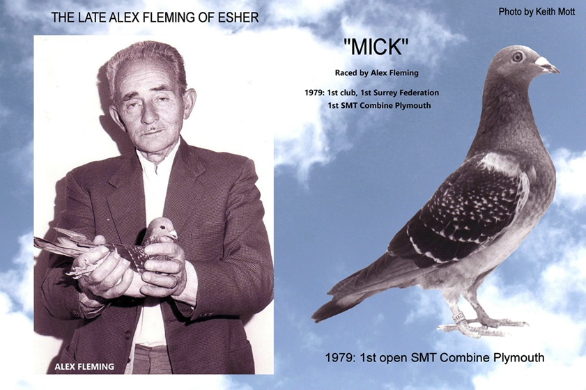 “ON THE ROAD” WITH KEITH MOTT - 01-09-25 | Elimar Pigeon Services Limited