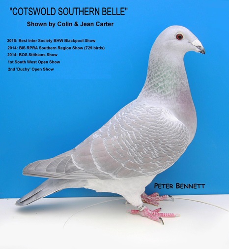 “ON THE ROAD” WITH KEITH MOTT - 03-01-24 | Elimar Pigeon Services Limited