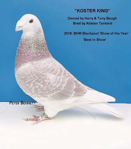 “ON THE ROAD” WITH KEITH MOTT - 03-01-24 | Elimar Pigeon Services Limited