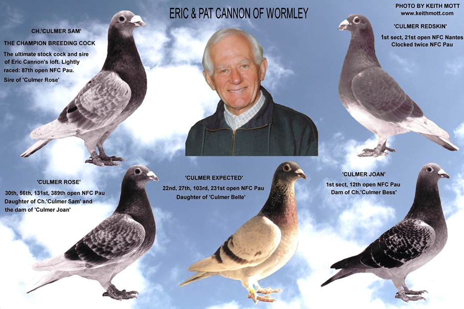 “ON THE ROAD” WITH KEITH MOTT - 15-11-24 | Elimar Pigeon Services Limited