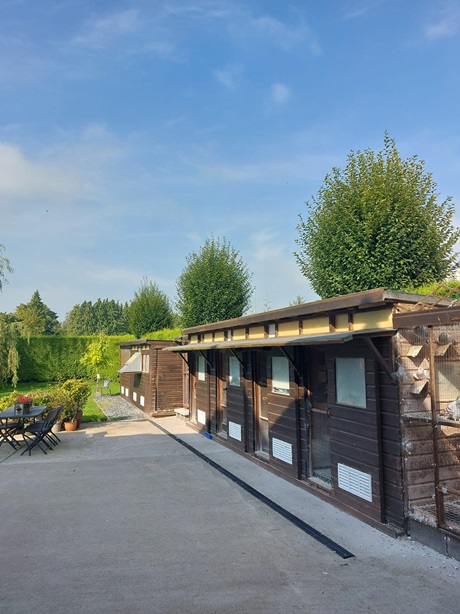 NIPA race report by Homer - Dale YB National - 12-09-24 | Elimar Pigeon ...