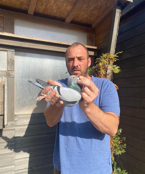 NEW YORKSHIRE MIDDLE ROUTE FED NEWS WITH SUE - 02-08-24 | Elimar Pigeon ...