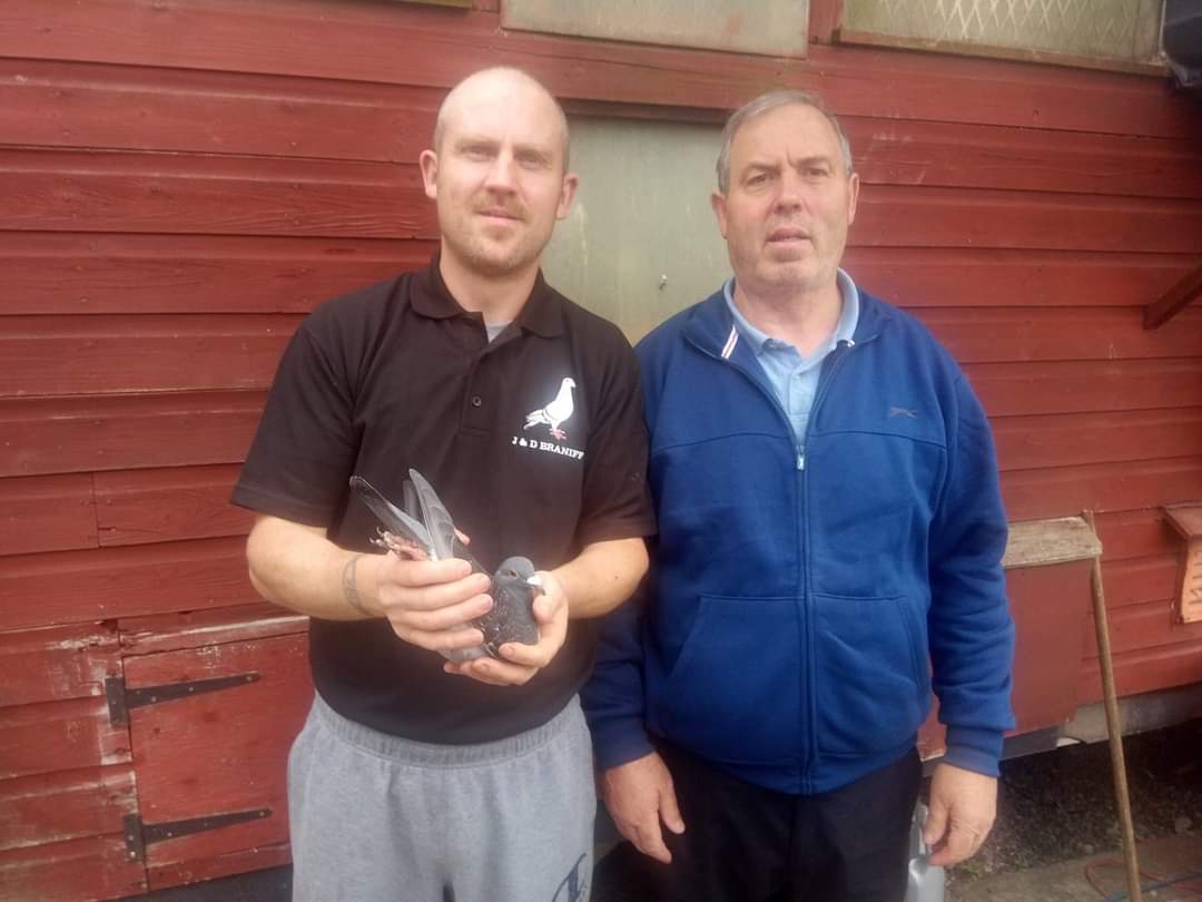 INFC Race Report by Homer - Yearling Nat Penzance - 08-07-24 | Elimar ...