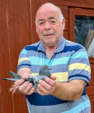 NIPA Race Report Roscrea - Adie Reports on Sect A, B, E & H - Elimar ...