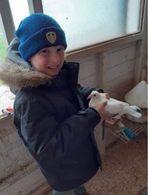 “The Original Around The Up North Combine” - 25-09-20 | Elimar Pigeon ...