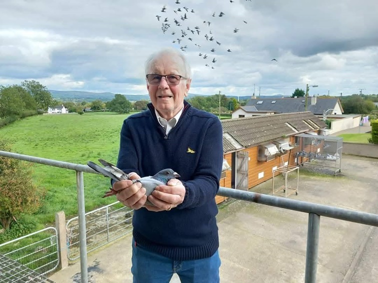 NIPA Race Report Dale YB Nat Adie reports on Sect A, B, E & H - 16-09 ...