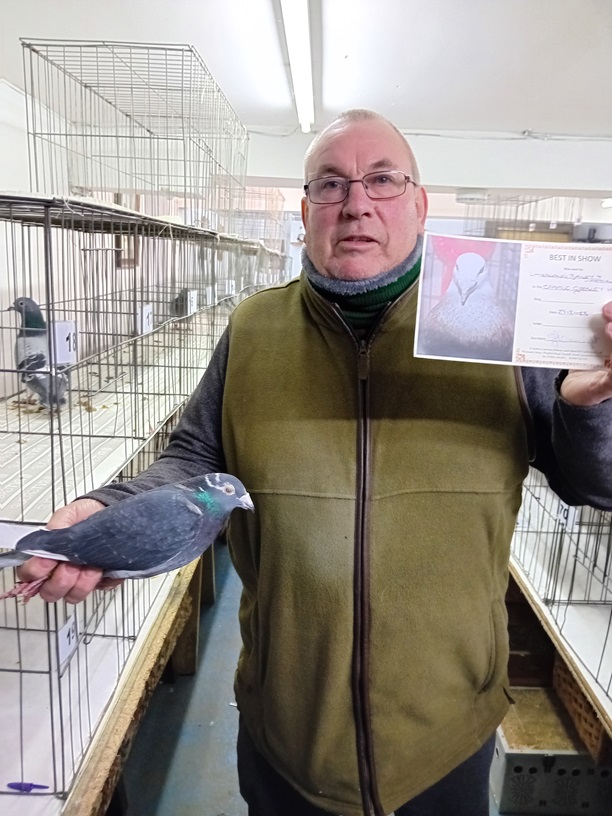 Castle Gresley Annual Christmas Show 29-12-2023. | Elimar Pigeon ...