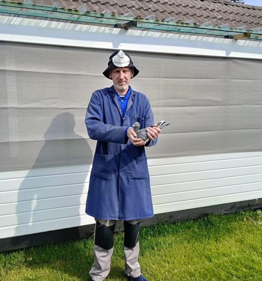 NIPA Race Report by Homer - 15-05-24 | Elimar Pigeon Services Limited