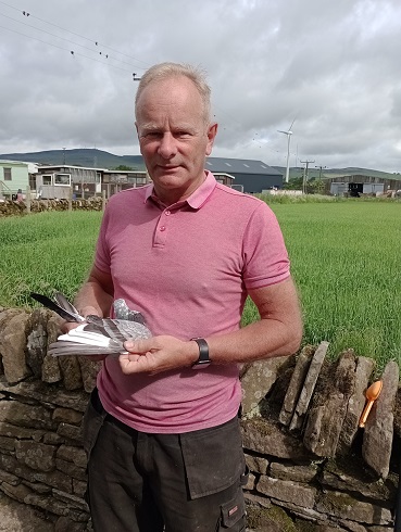 The Joe Murphy Column - 01-07-23 | Elimar Pigeon Services Limited