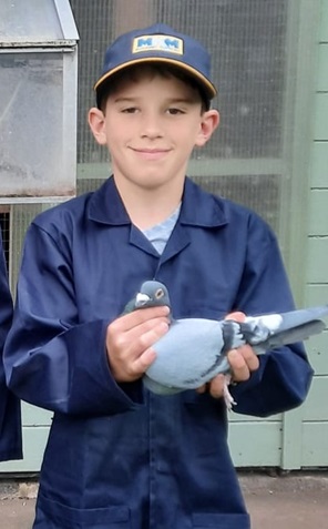 BURTON & SOUTH DERBYSHIRE FEDERATION - 27-06-24 | Elimar Pigeon ...