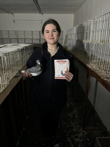 Homers Odyssey - 29-12-23 | Elimar Pigeon Services Limited