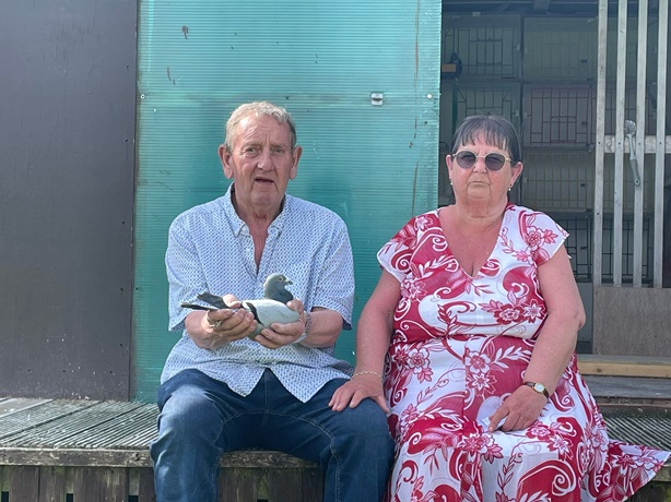 INFC Race Report by Homer - Yearling Nat Penzance - 08-07-24 | Elimar ...