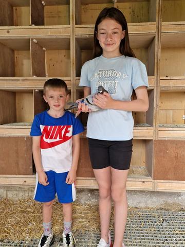 NIPA Race Report Talbenny YB National - 05-09-22 | Elimar Pigeon ...