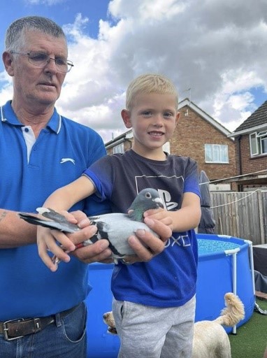 Essex Central Federation Wetherby - 01-07-23 | Elimar Pigeon Services ...