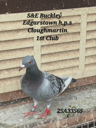 NIPA Race Report on Cloughmartin - Adie covers Sect A, B, E & H - 21-08 ...