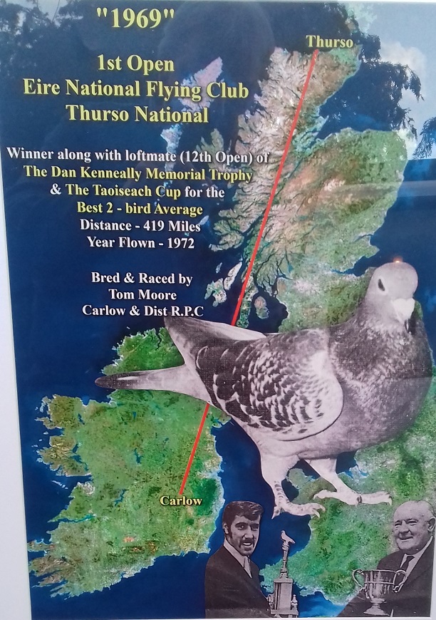 From the Barrow Valley - 03-02-21 | Elimar Pigeon Services Limited