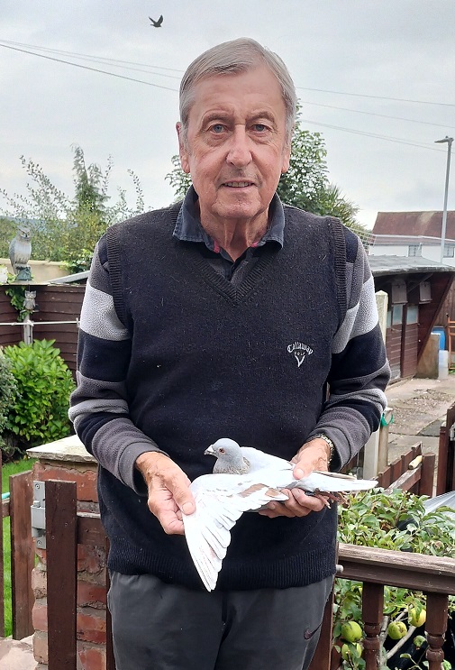 L J Parkinson - 03-06-23 | Elimar Pigeon Services Limited