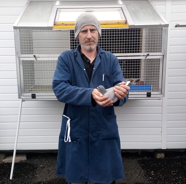 NIPA Race Report - Skibbereen YB National - 13-09-22 | Elimar Pigeon ...