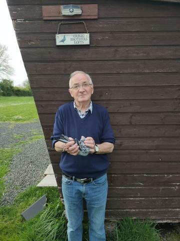 NIPA race report by Homer - 2nd Fermoy 13/05/23 | Elimar Pigeon ...