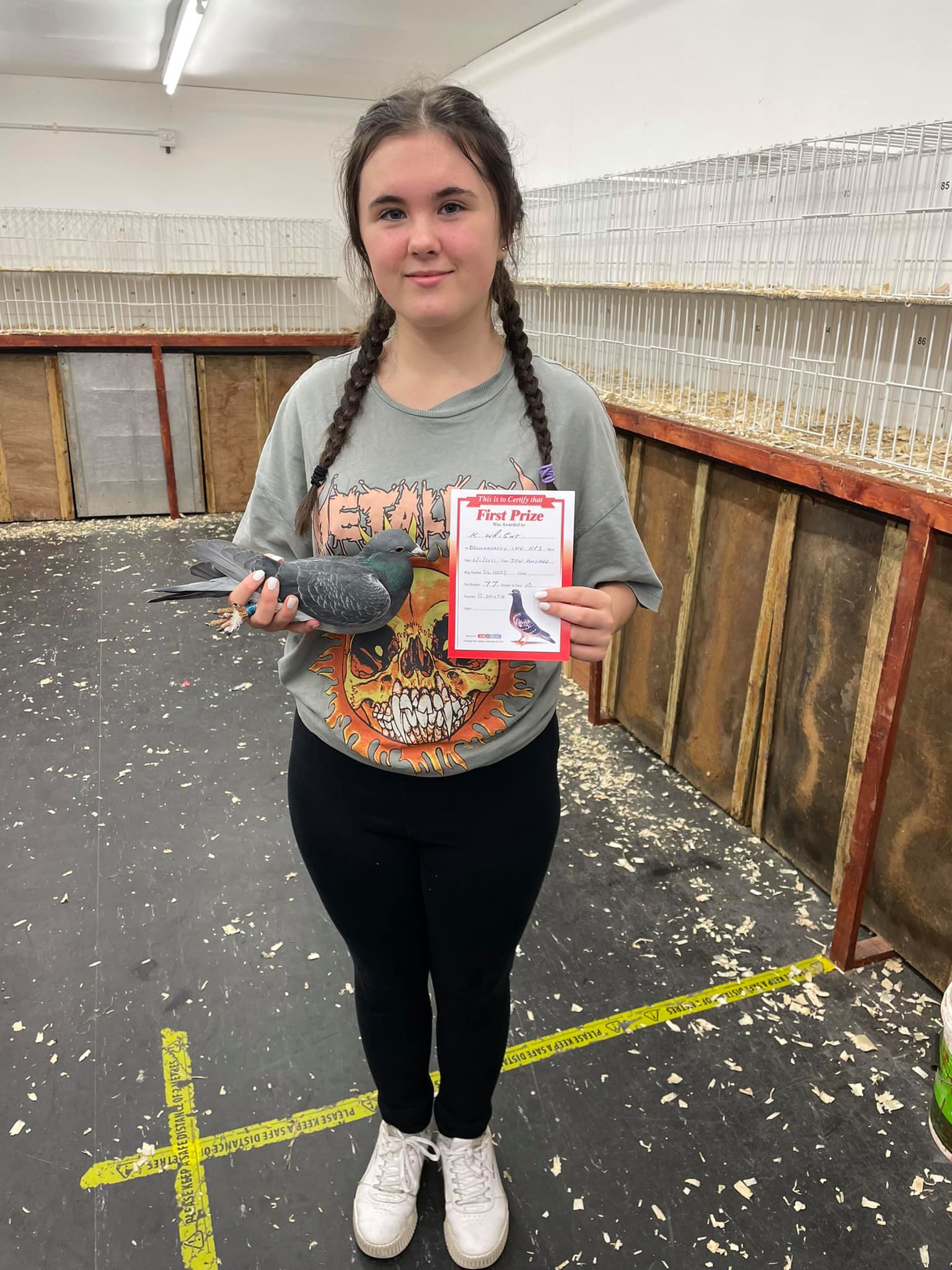 Homers Odyssey - 23-11-21 | Elimar Pigeon Services Limited